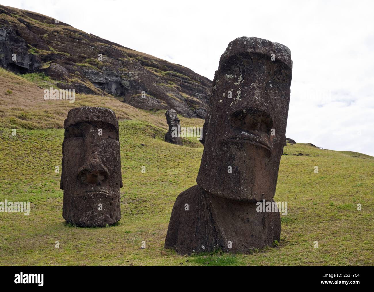 Half buried Moai (monolithic statues) at Rano Raraku, the quarry where ...