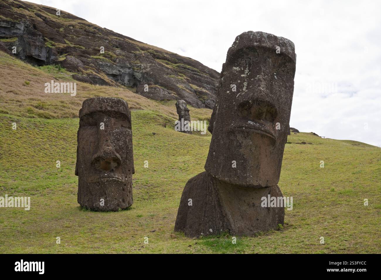 Half buried Moai (monolithic statues) at Rano Raraku, the quarry where ...
