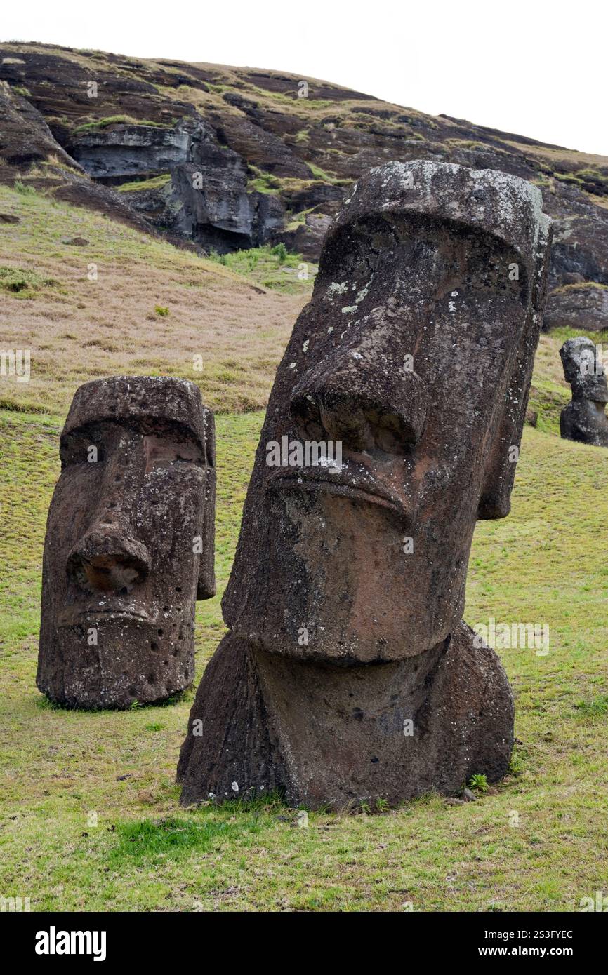 Half buried Moai (monolithic statues) at Rano Raraku, the quarry where ...