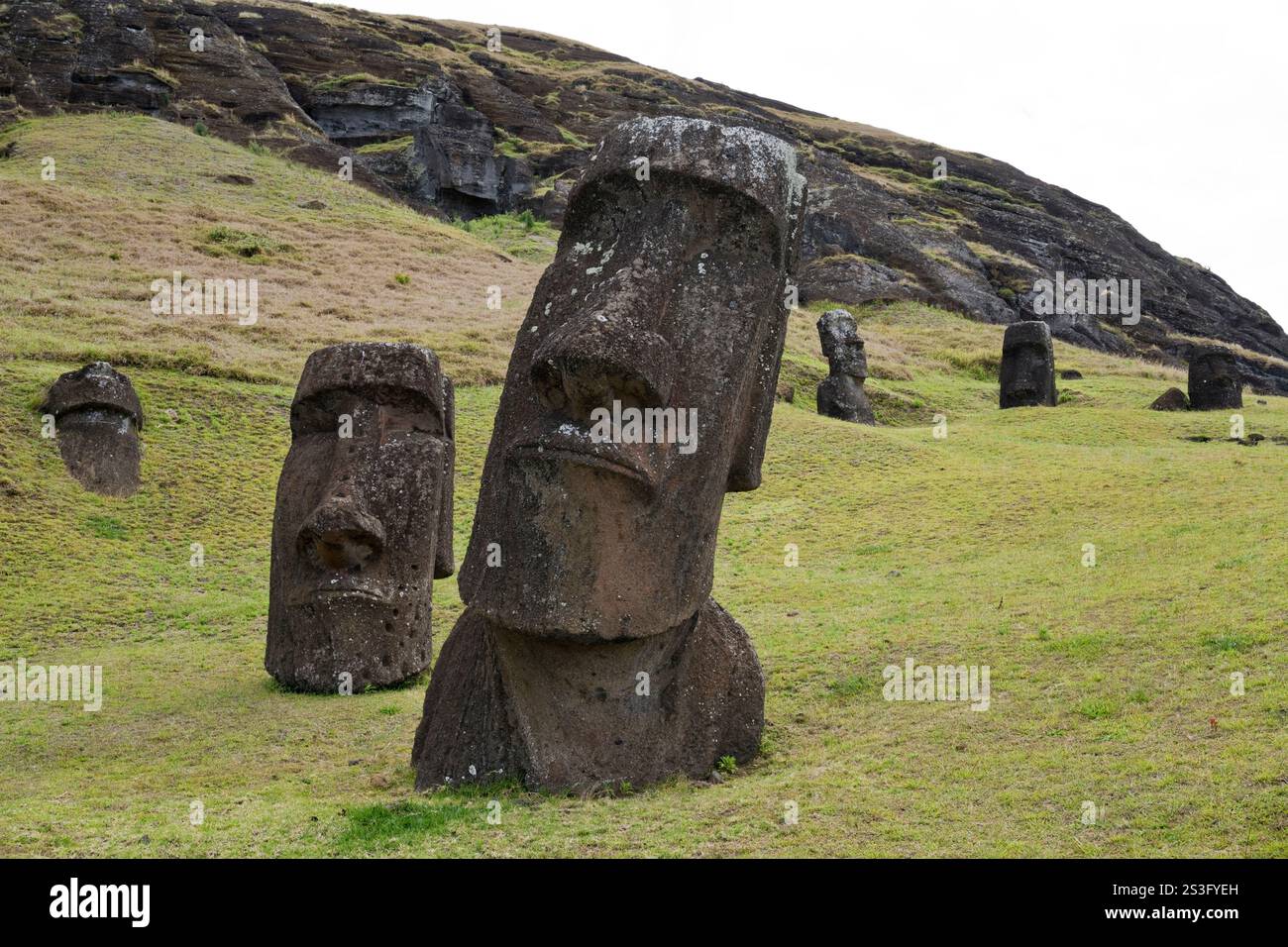 Half buried Moai (monolithic statues) at Rano Raraku, the quarry where ...