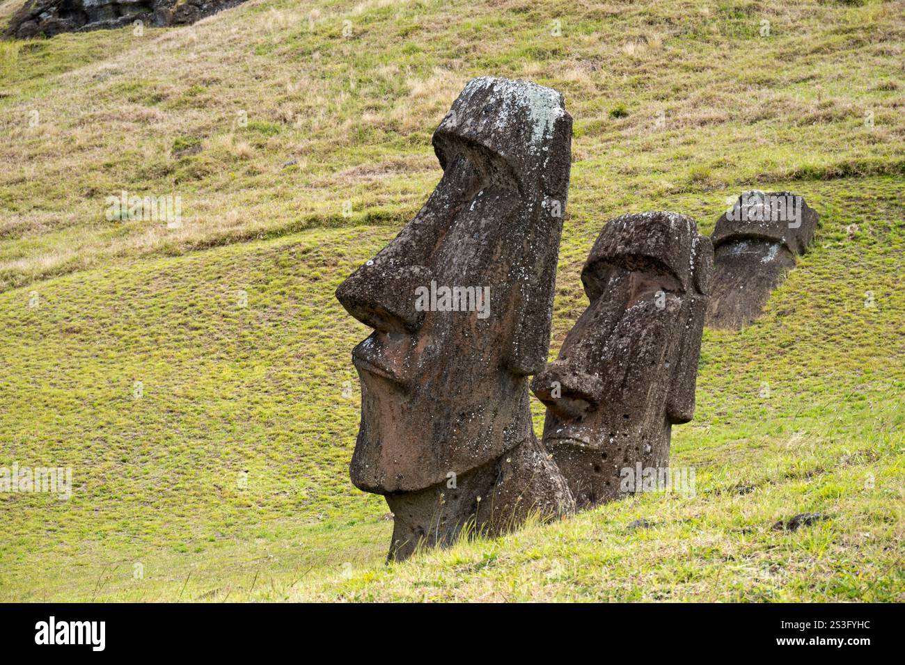 Half buried and fallen Moai (monolithic statues) at Rano Raraku, the ...