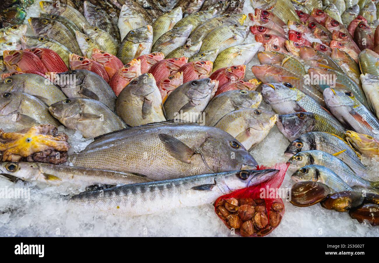 Red Sea Fish - Fish Market in Hurghada, Egypt Stock Photo - Alamy