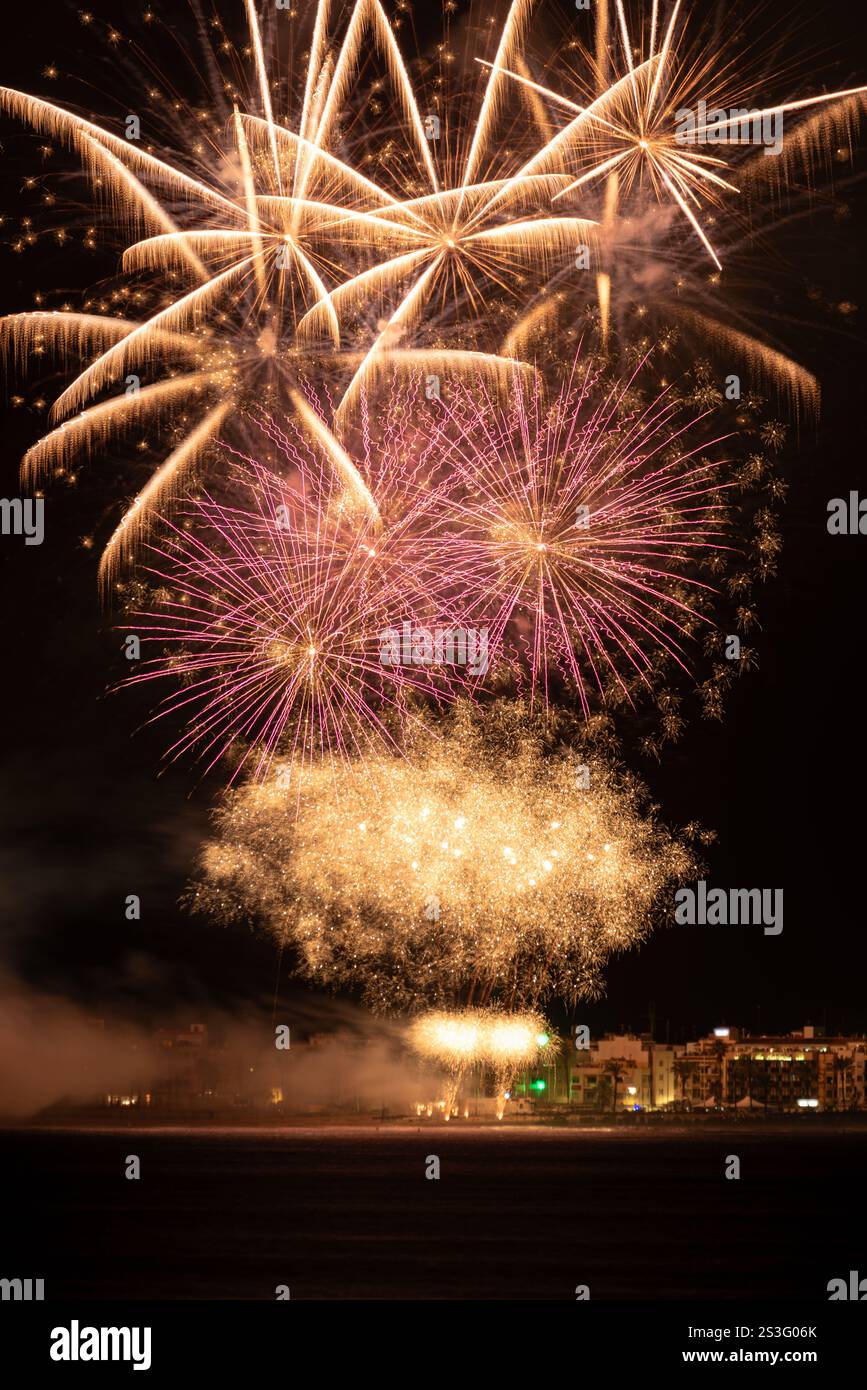 Behold the enchanting spectacle of fireworks lighting up the night sky ...