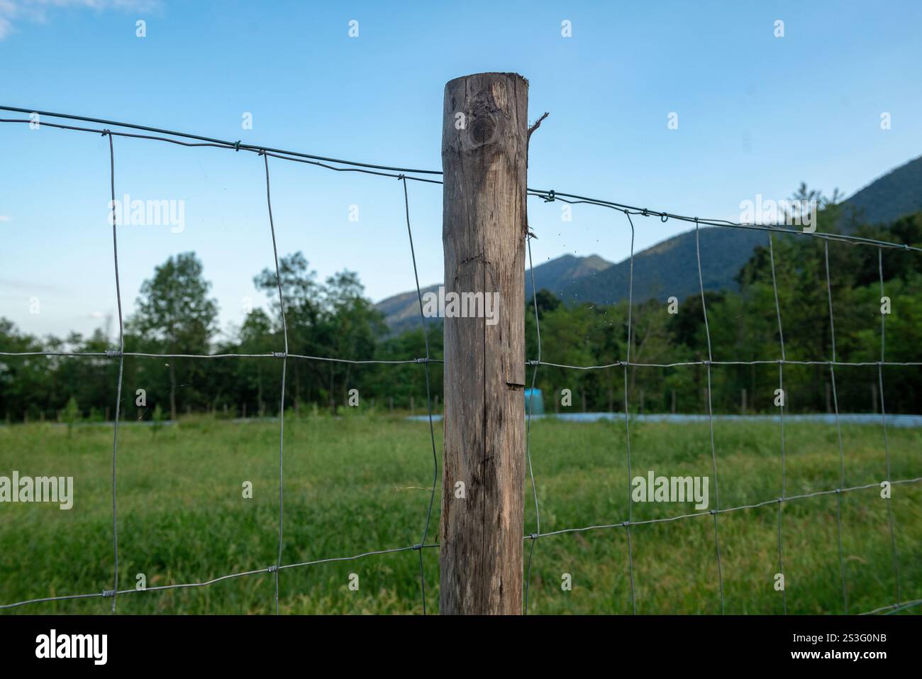 Line wooden poles hi-res stock photography and images - Alamy