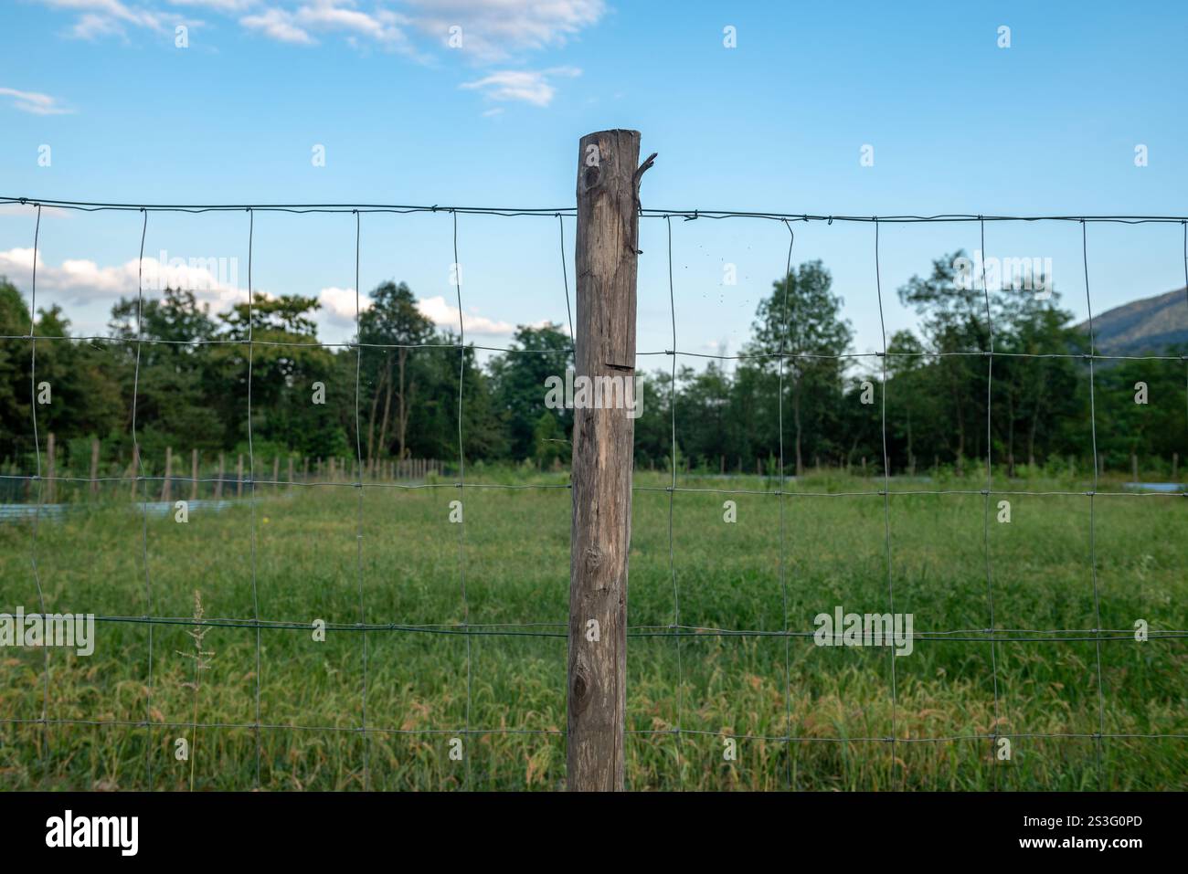 Line wooden poles hi-res stock photography and images - Alamy