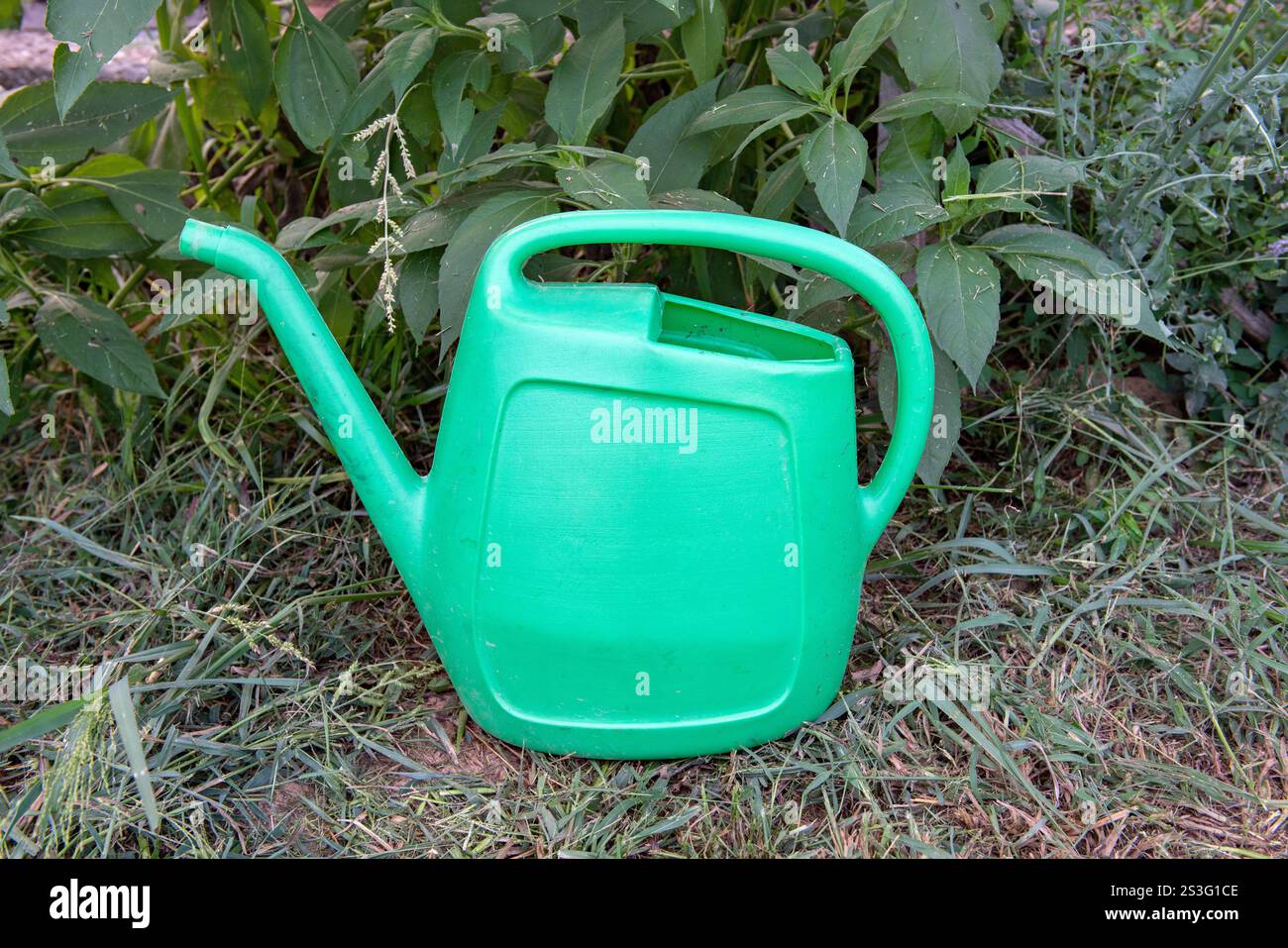 green plastic watering can is an essential tool for watering plants and ...