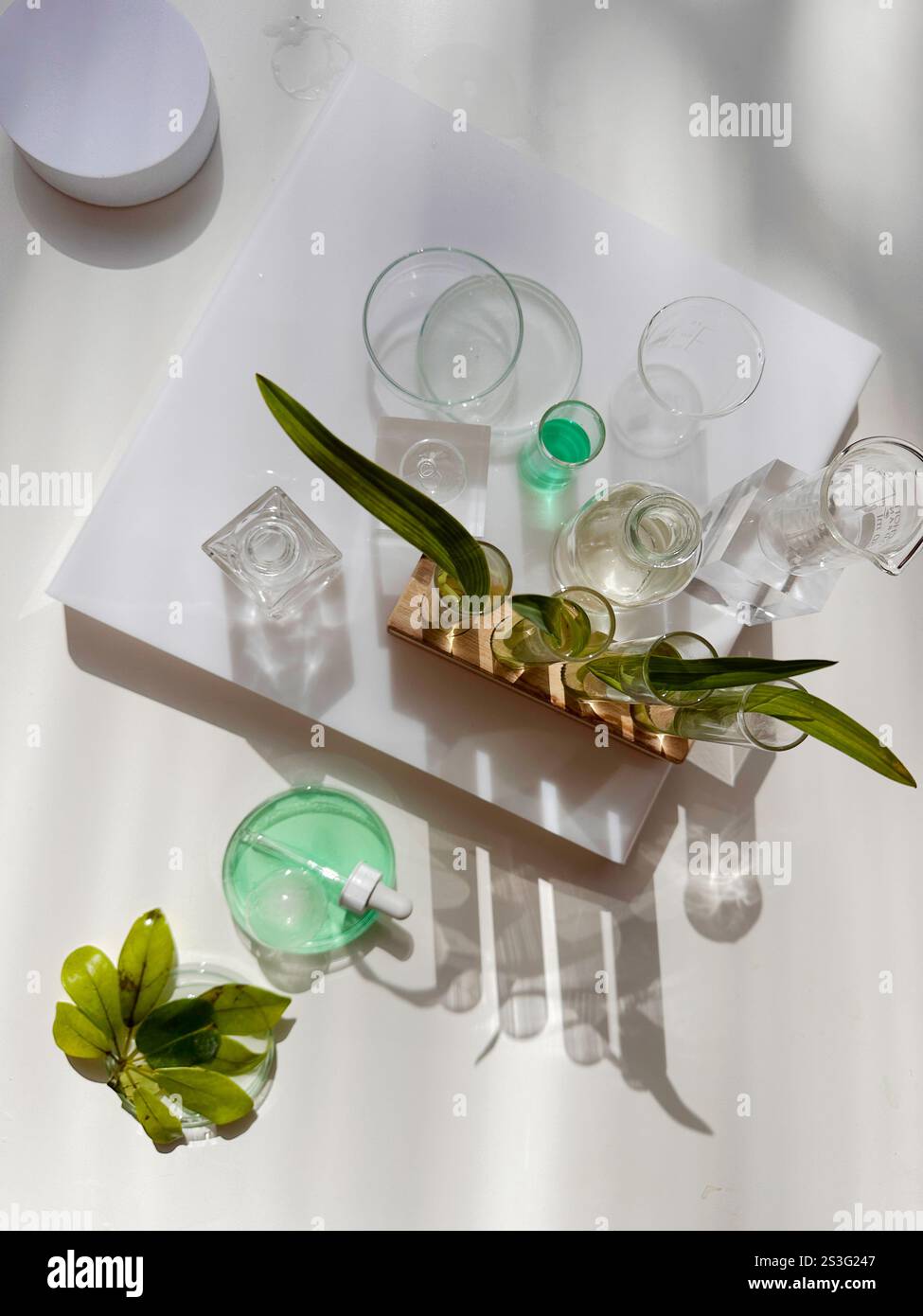 Science and nature concept Stock Photo - Alamy