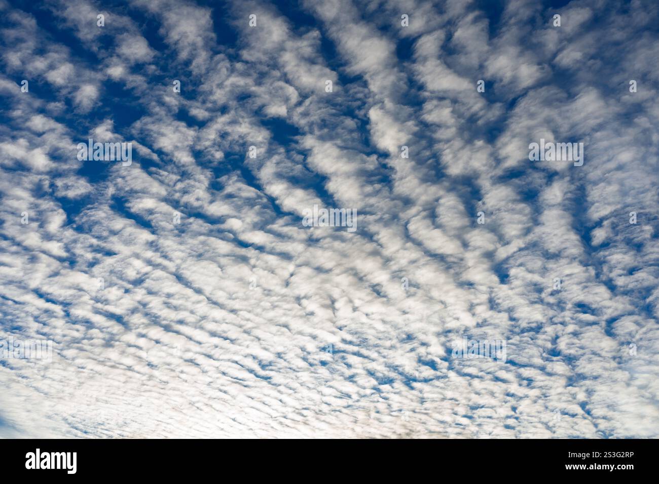 Natureviewing hi-res stock photography and images - Alamy