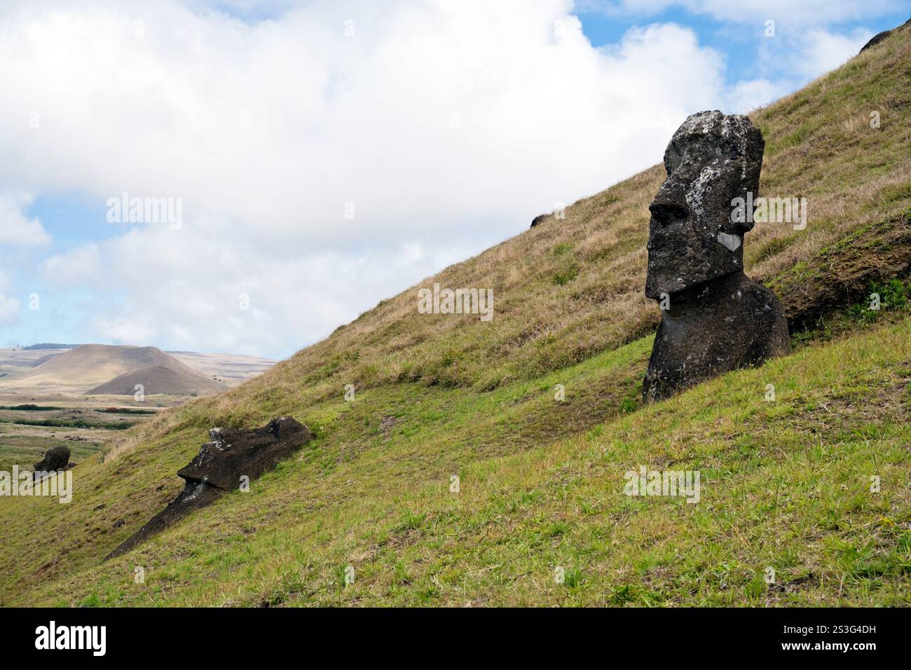 Half buried and fallen Moai (monolithic statues) at Rano Raraku, the ...