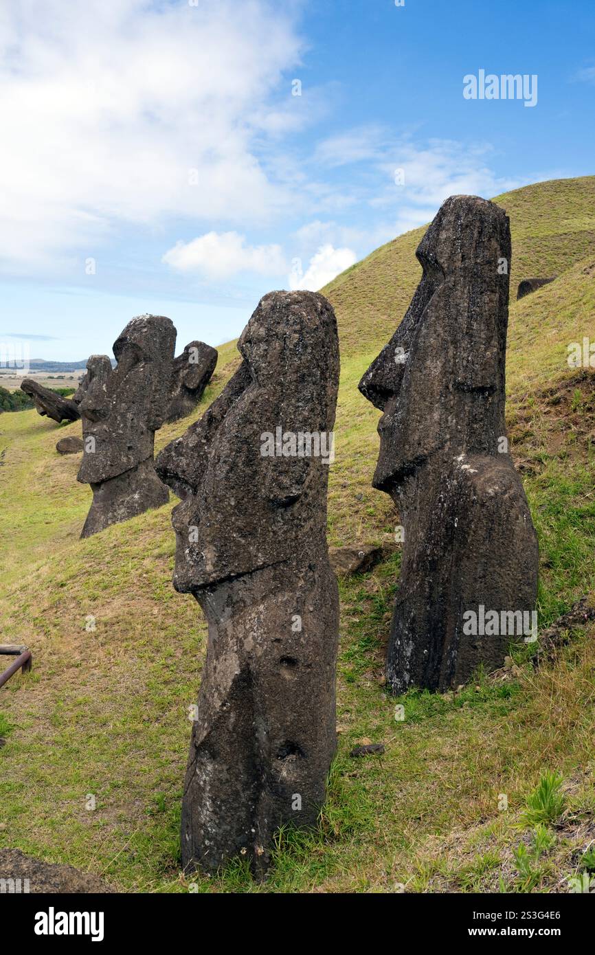 Half buried and fallen Moai (monolithic statues) at Rano Raraku, the ...