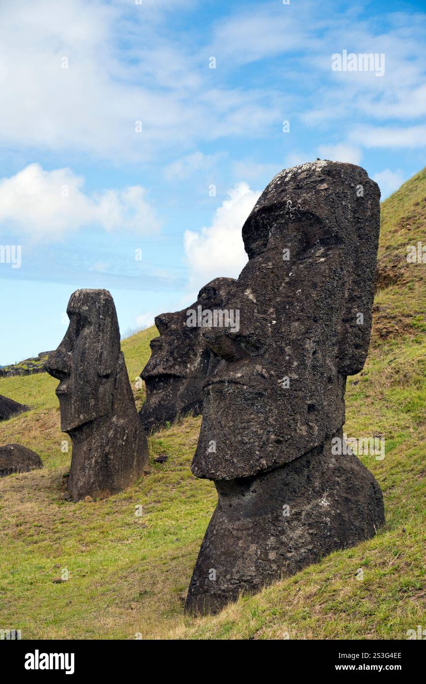 Half buried and fallen Moai (monolithic statues) at Rano Raraku, the ...