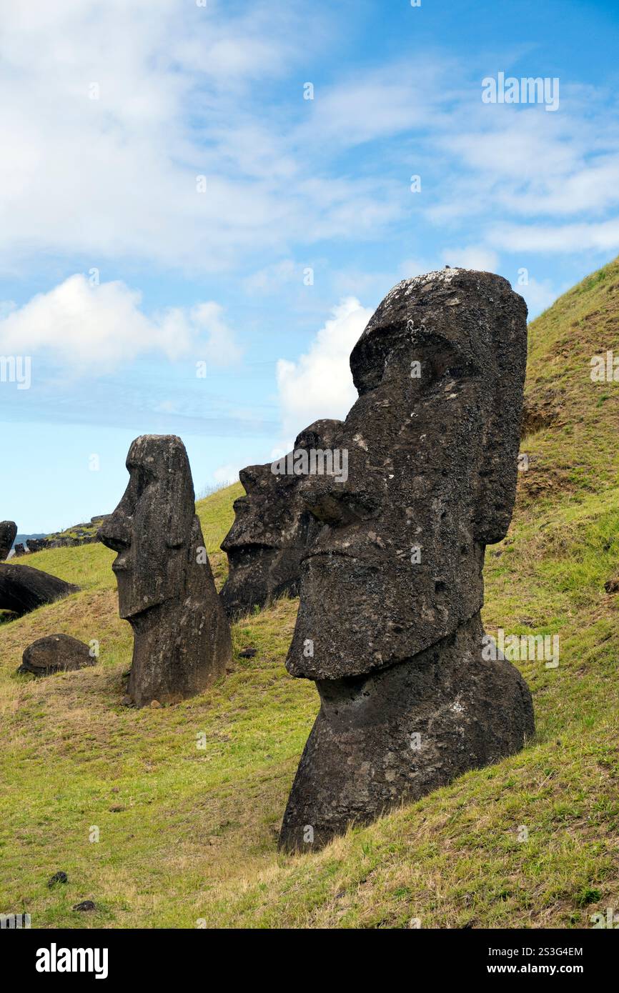 Half buried and fallen Moai (monolithic statues) at Rano Raraku, the ...