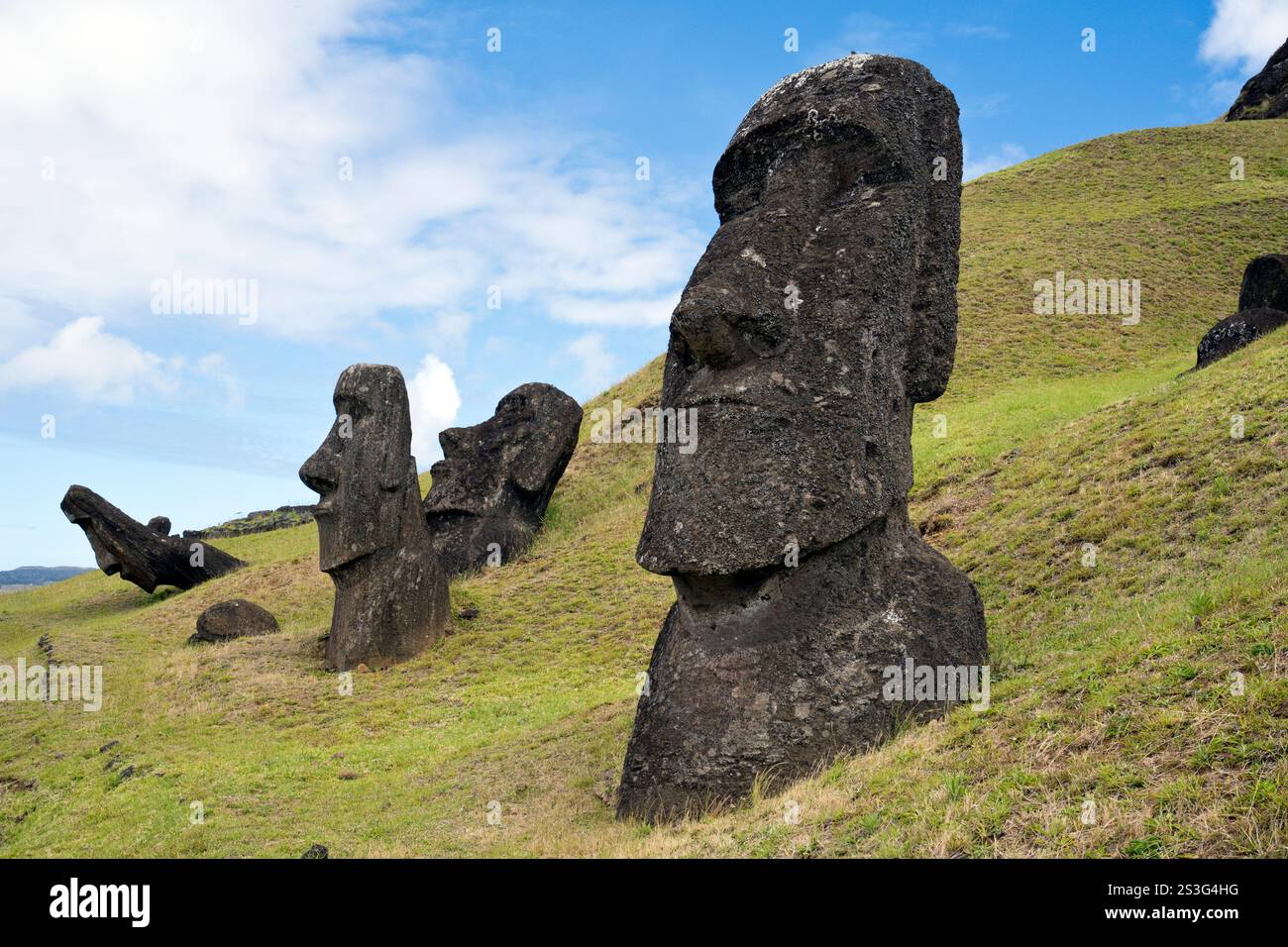 Half buried and fallen Moai (monolithic statues) at Rano Raraku, the ...