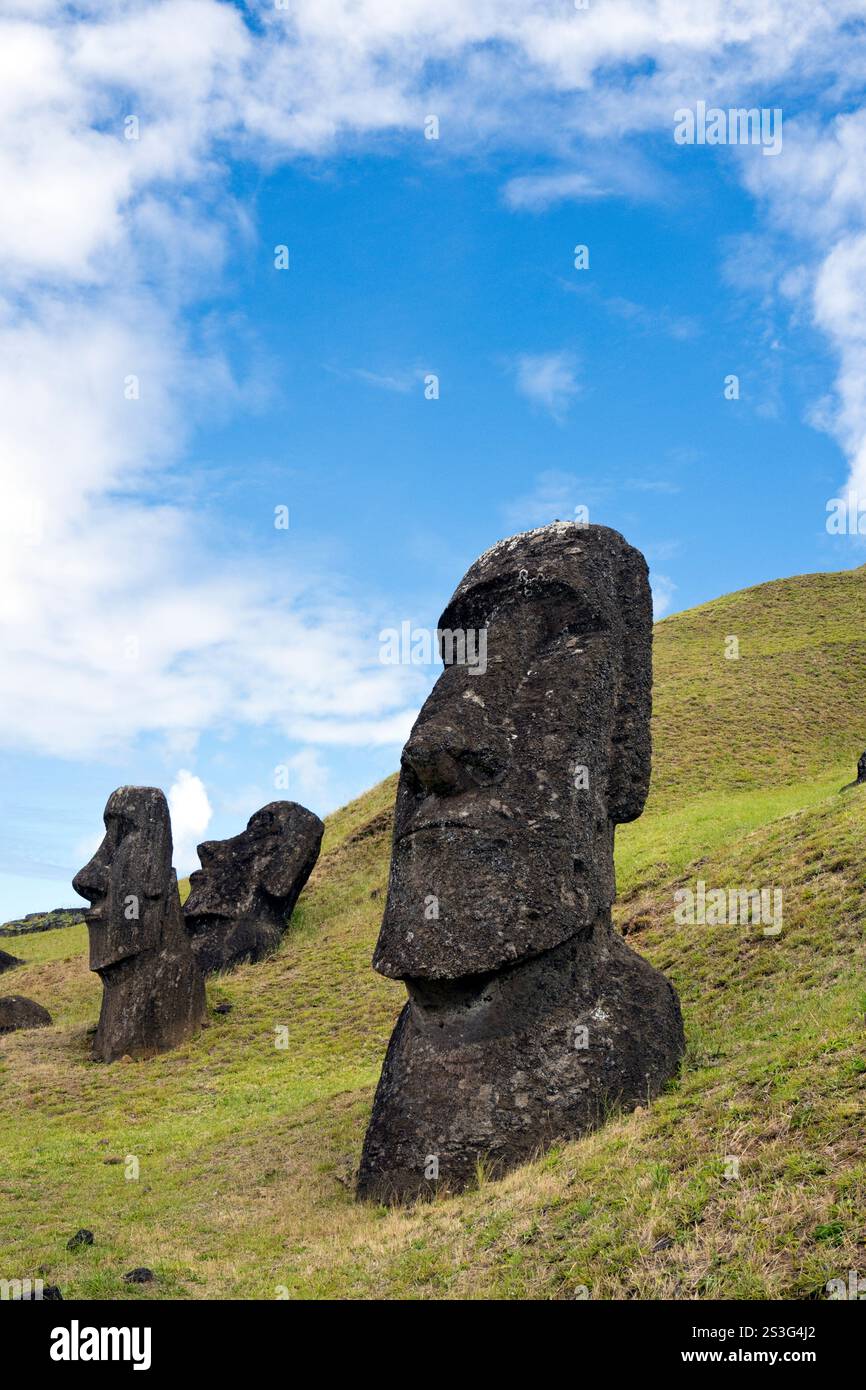 Half buried and fallen Moai (monolithic statues) at Rano Raraku, the ...