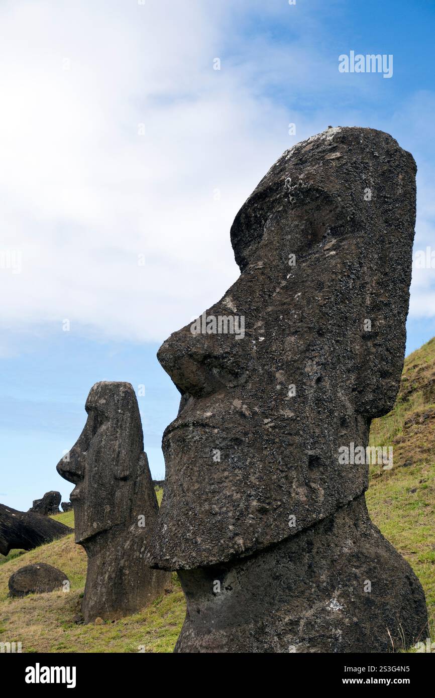 Half buried and fallen Moai (monolithic statues) at Rano Raraku, the ...