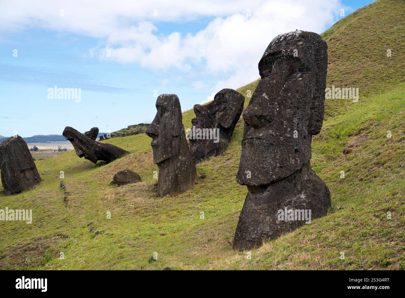 Half buried and fallen Moai (monolithic statues) at Rano Raraku, the ...
