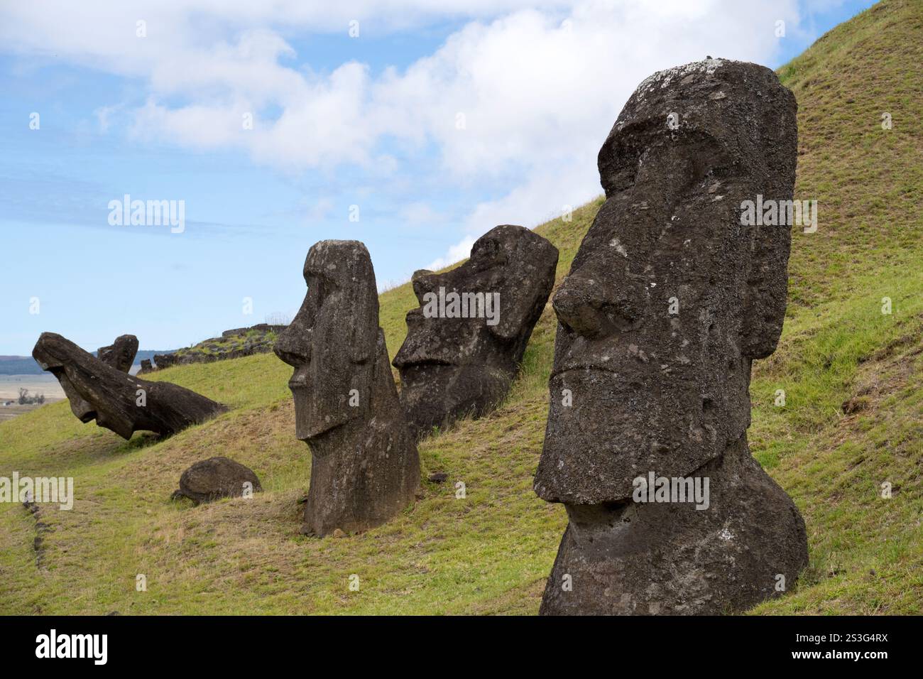 Half buried and fallen Moai (monolithic statues) at Rano Raraku, the ...
