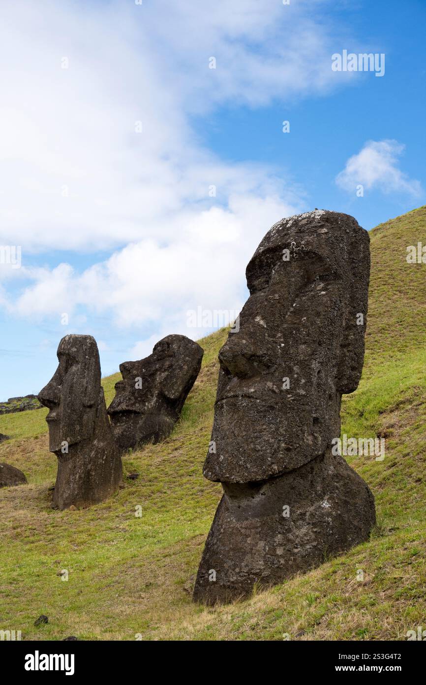Half buried and fallen Moai (monolithic statues) at Rano Raraku, the ...
