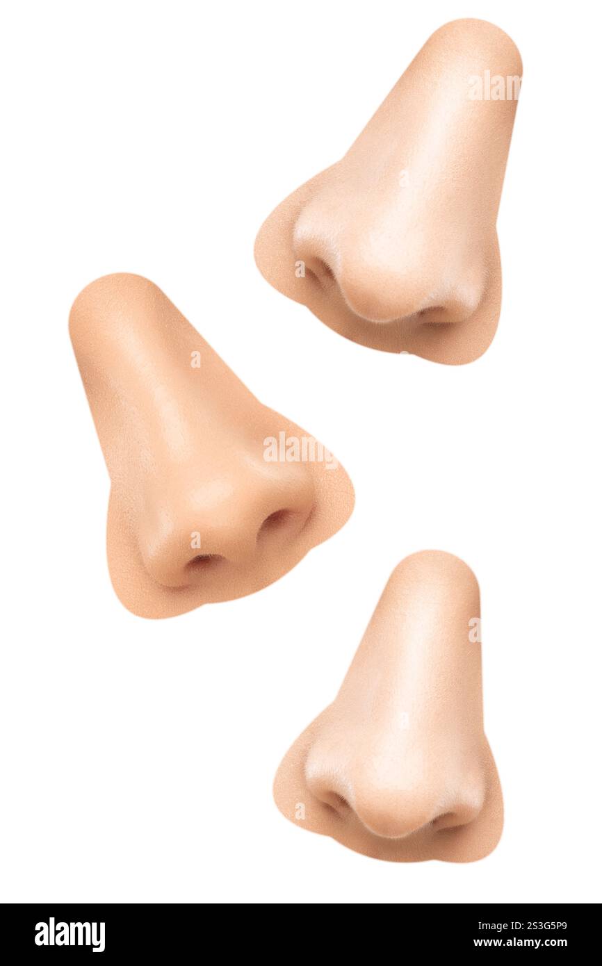Human noses isolated on white background close up Stock Photo - Alamy
