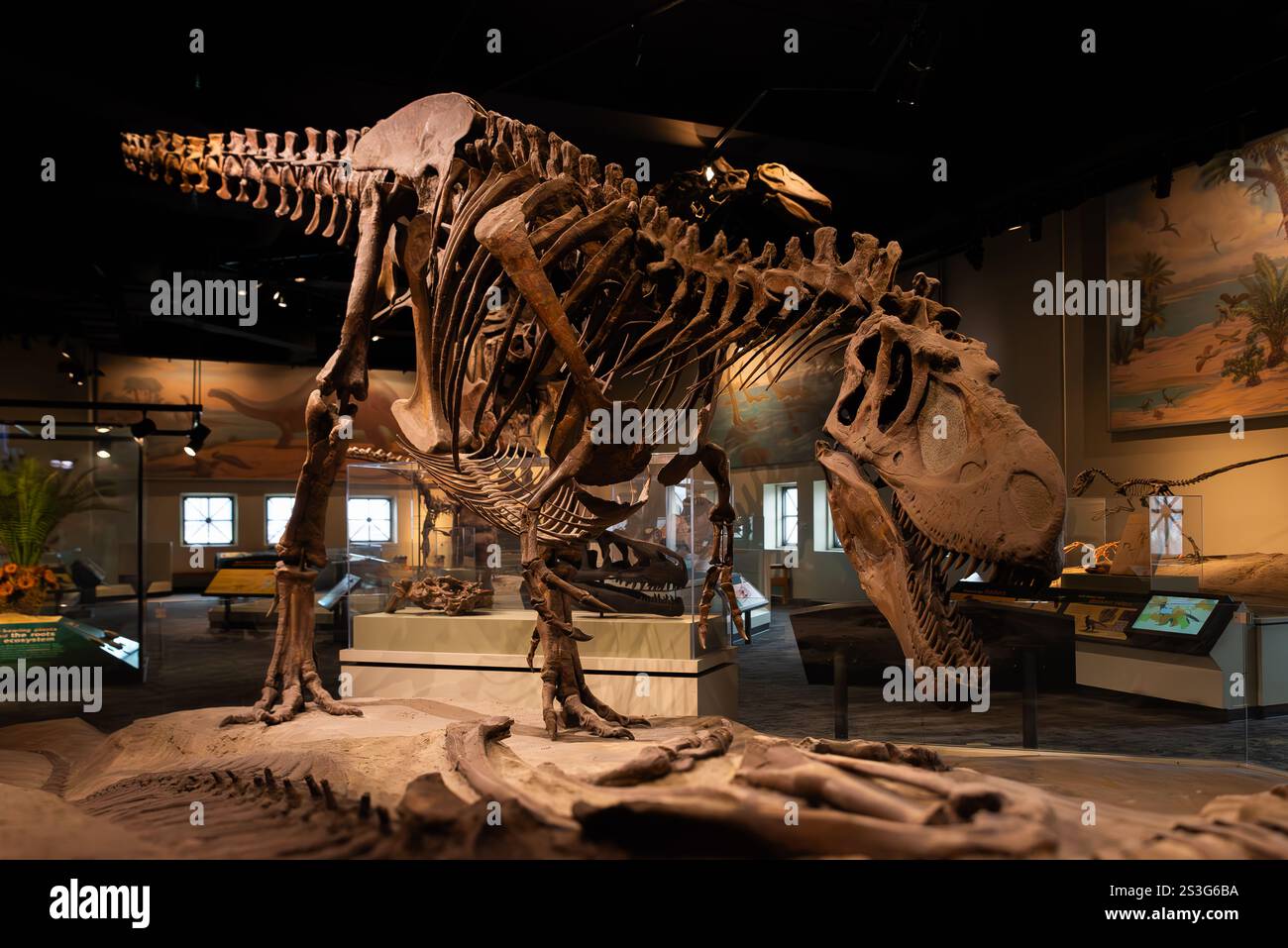 Chicago, Illinois - United States - January 6th, 2024: Sue the T-Rex at ...