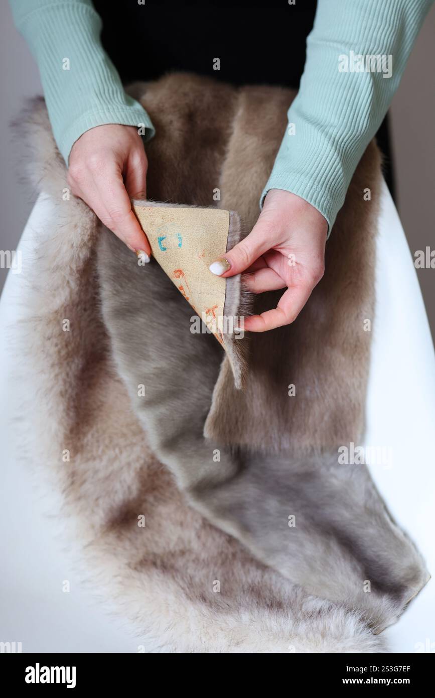 female hands working with mink fur skin at atelier, workshop Stock ...