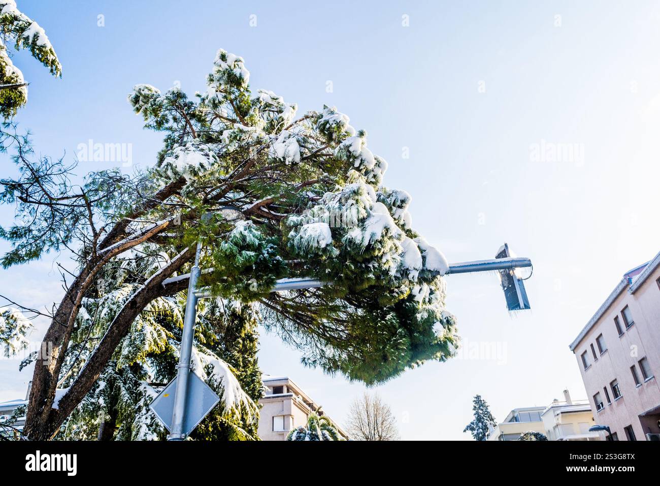 Snow covered tree hangs over the road and damages traffic lights Stock ...
