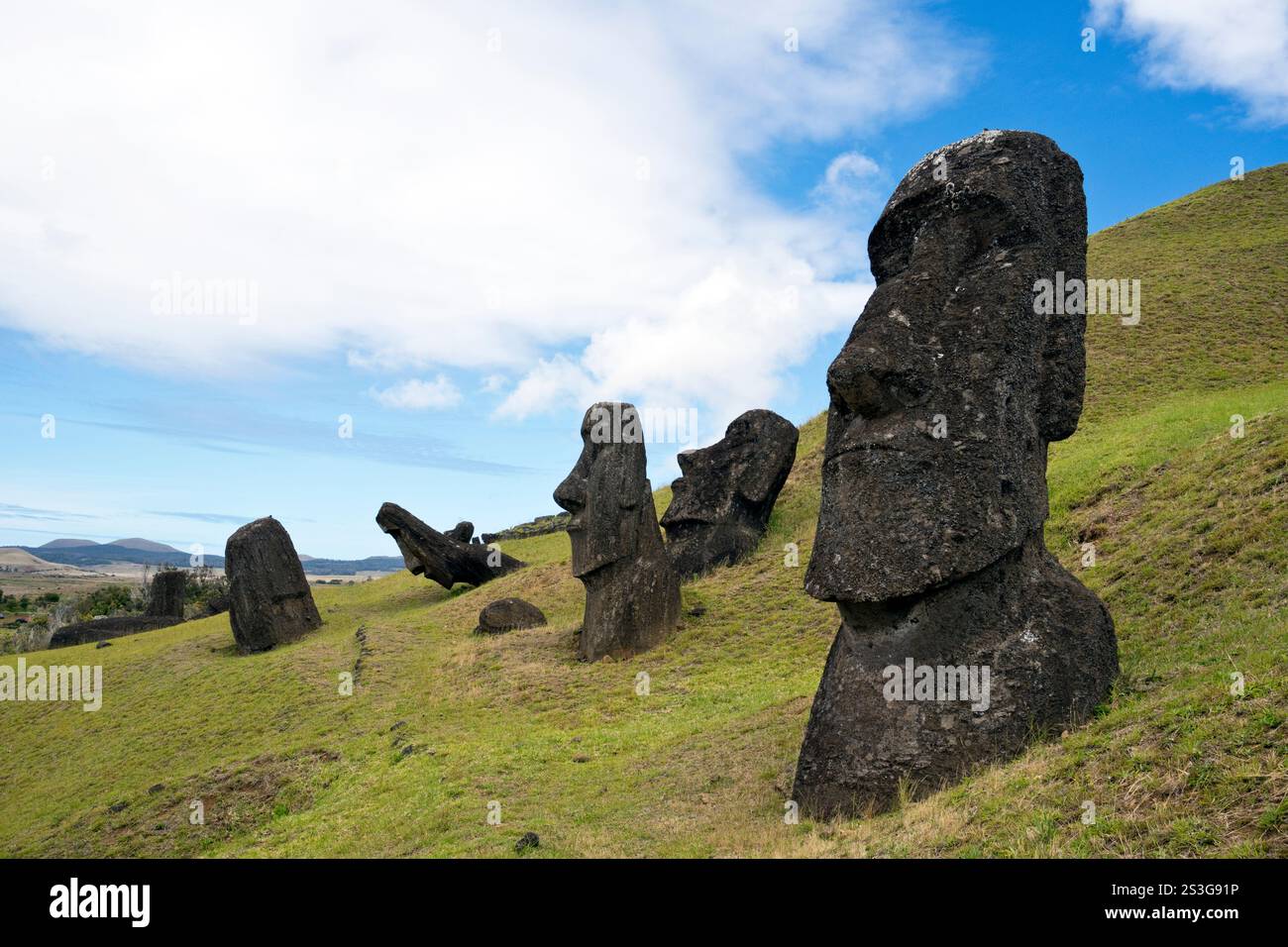 Half buried and fallen Moai (monolithic statues) at Rano Raraku, the ...