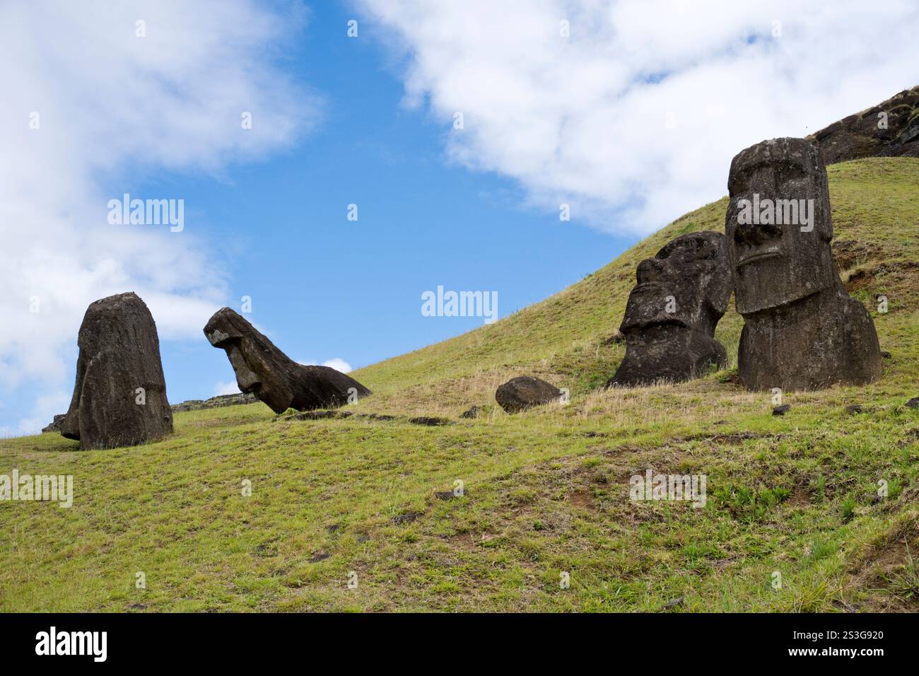 Half buried and fallen Moai (monolithic statues) at Rano Raraku, the ...