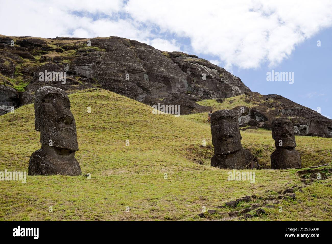 Half buried Moai (monolithic statues) at Rano Raraku, the quarry where ...