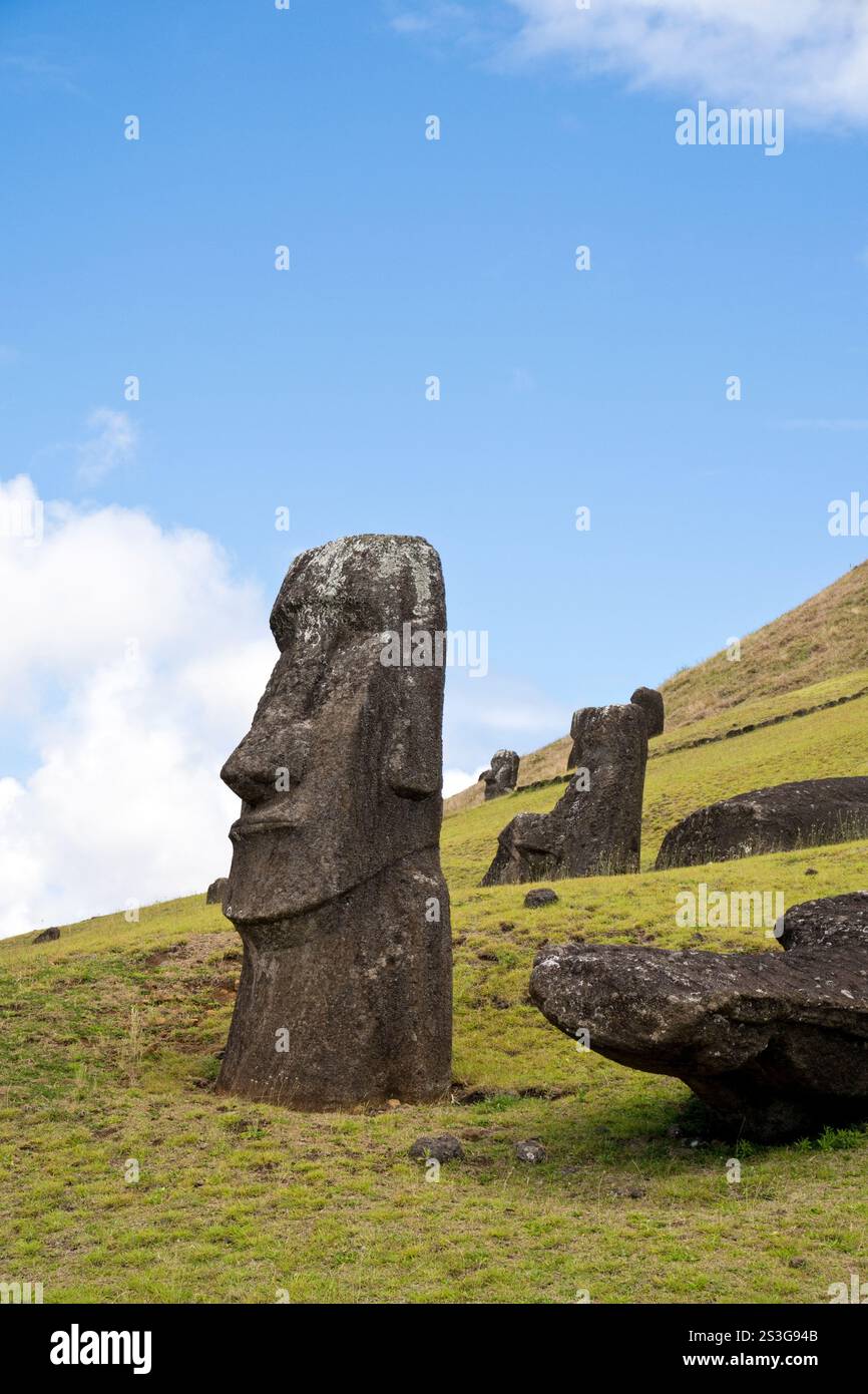 Half buried and fallen Moai (monolithic statues) at Rano Raraku, the ...