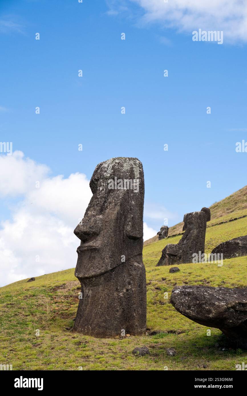 Half buried and fallen Moai (monolithic statues) at Rano Raraku, the ...