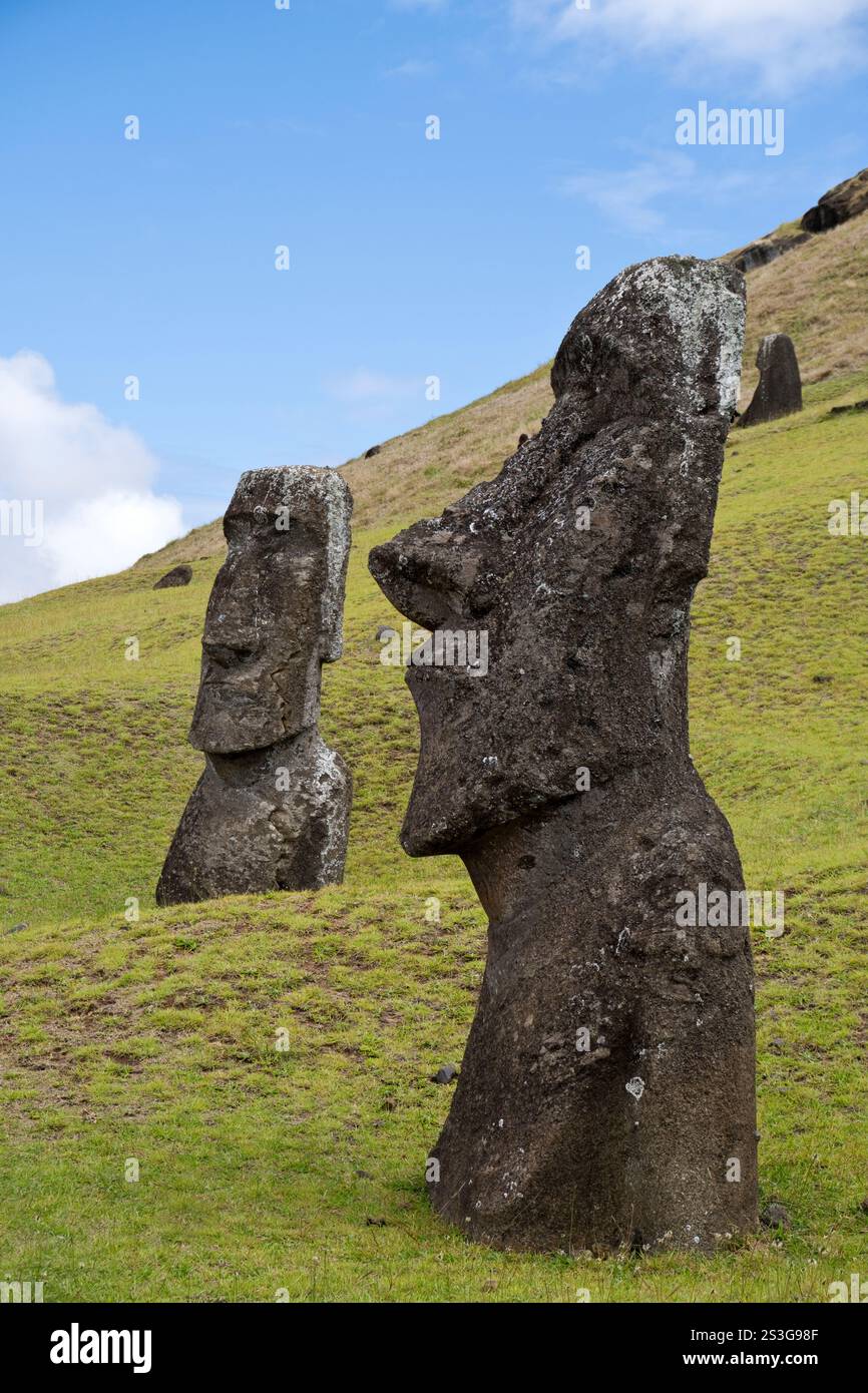 Half buried and fallen Moai (monolithic statues) at Rano Raraku, the ...