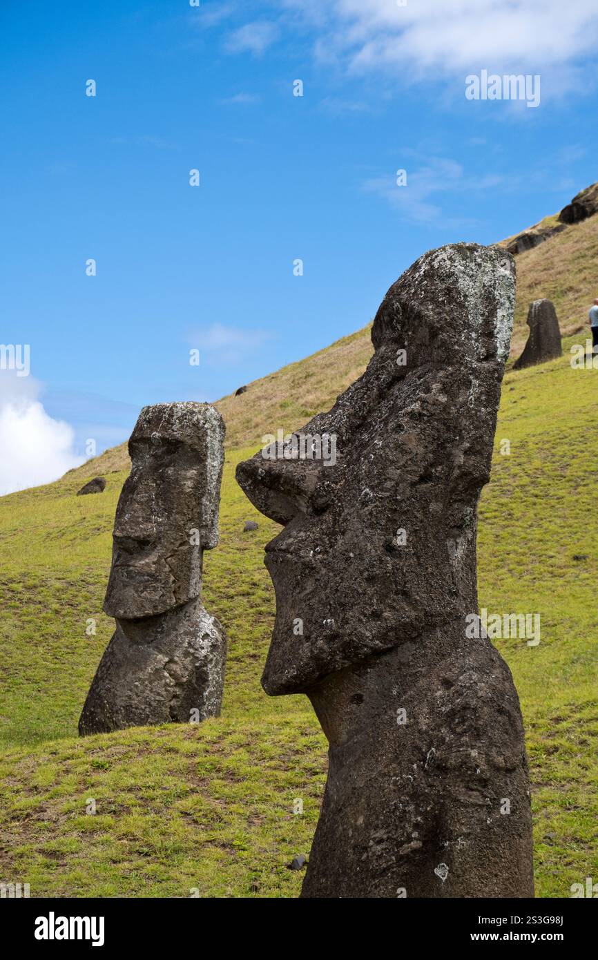 Half buried and fallen Moai (monolithic statues) at Rano Raraku, the ...