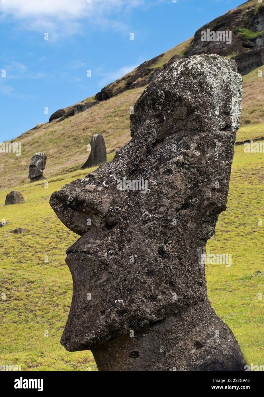 Half buried and fallen Moai (monolithic statues) at Rano Raraku, the ...