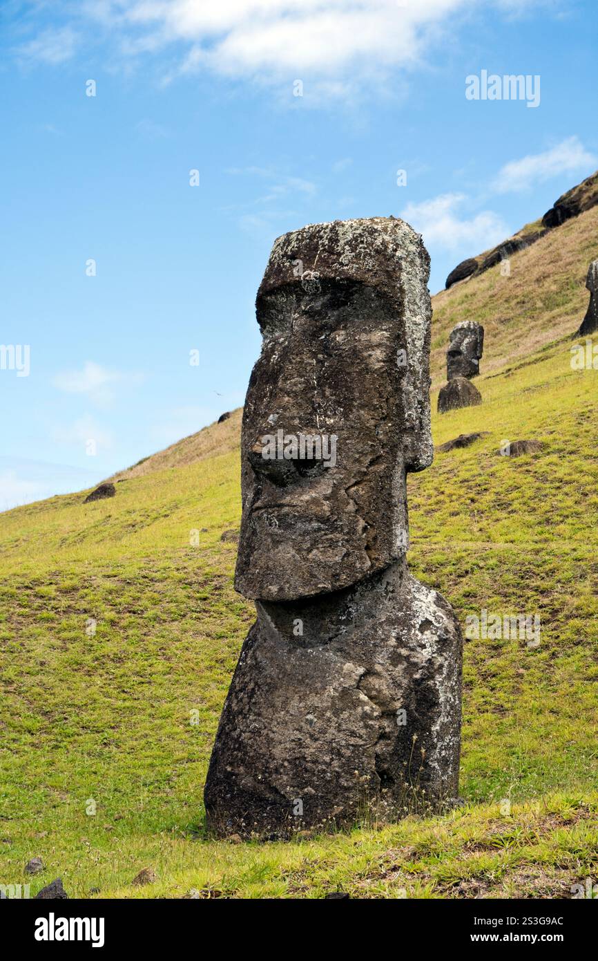 Half buried Moai (monolithic statue) at Rano Raraku, the quarry where ...