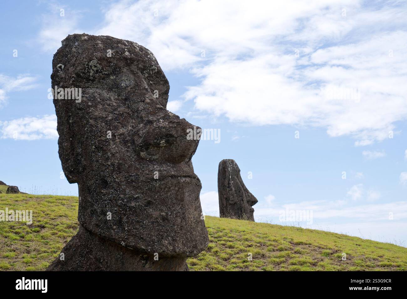 Half buried Moai (monolithic statues) at Rano Raraku, the quarry where ...