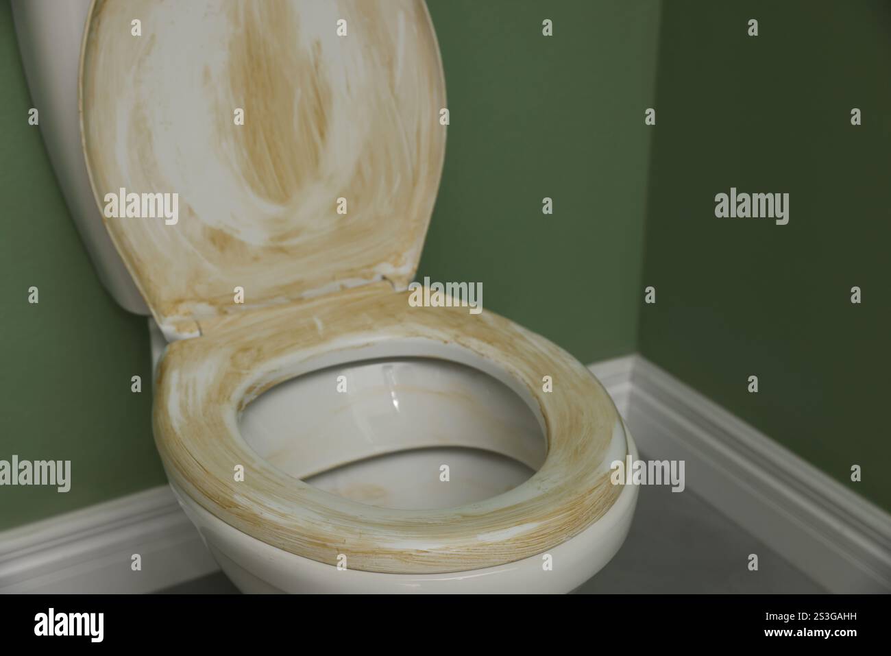 Disgusting toilet hi-res stock photography and images - Alamy