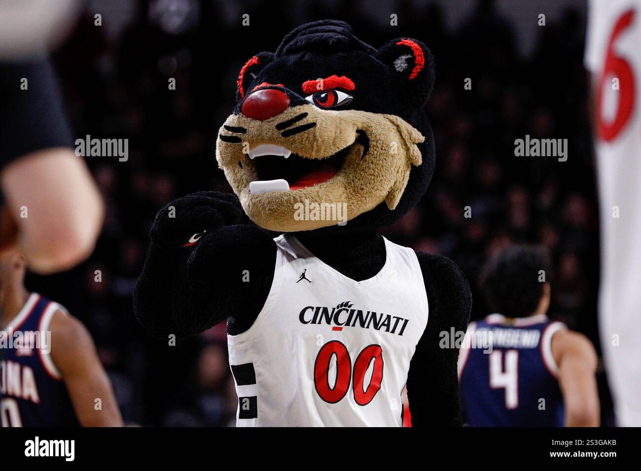 CINCINNATI, OH - JANUARY 04: The Cincinnati Bearcat mascot during the ...