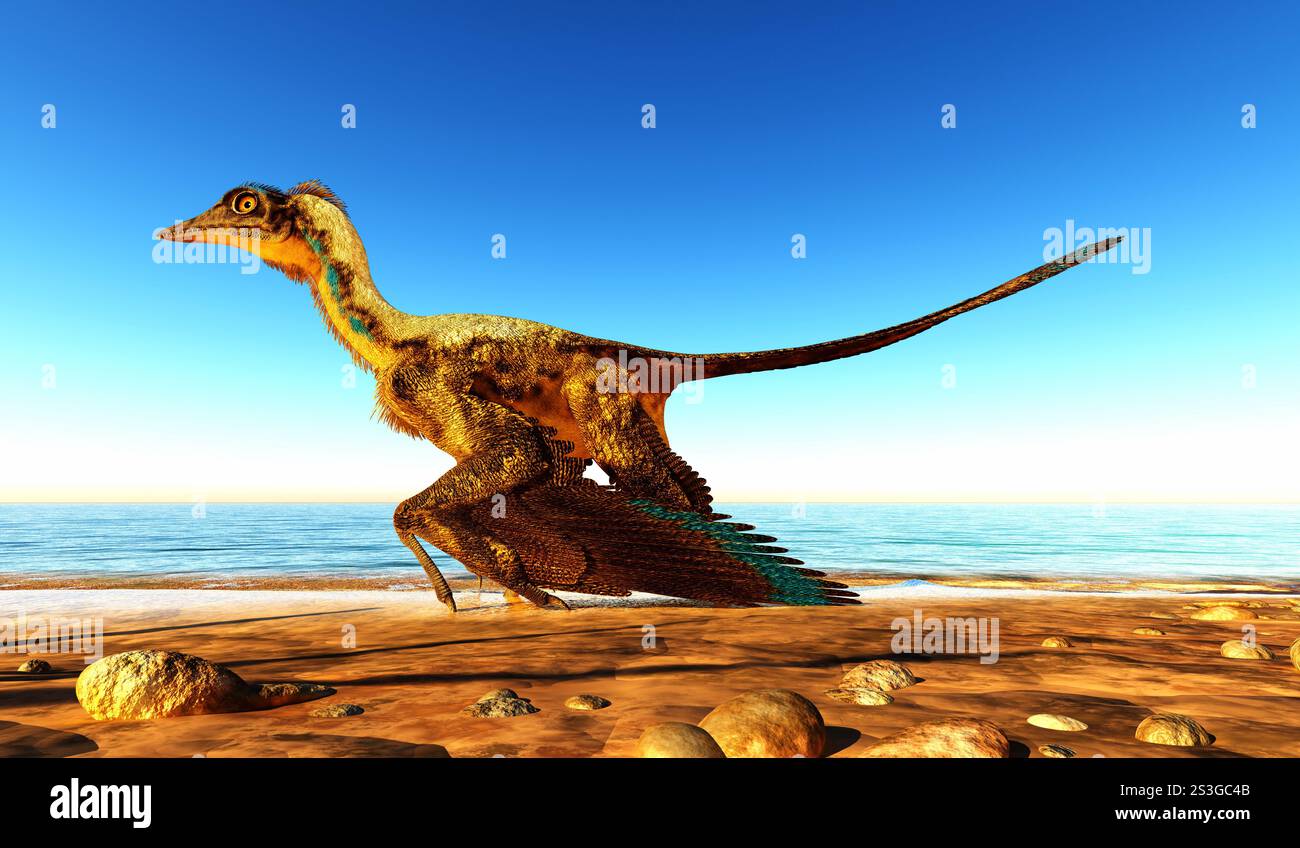 Archaeopteryx is known as the earliest bird and was a bridge species ...