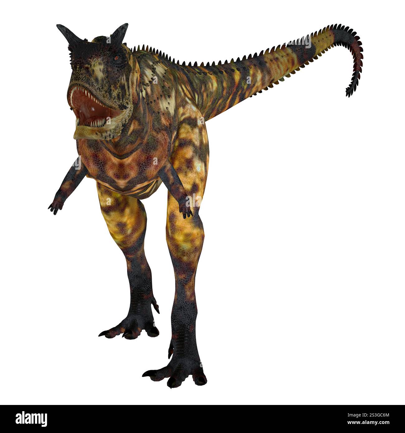 Carnotaurus was a carnivorous theropod dinosaur that lived in Patagonia, Argentina during the ...