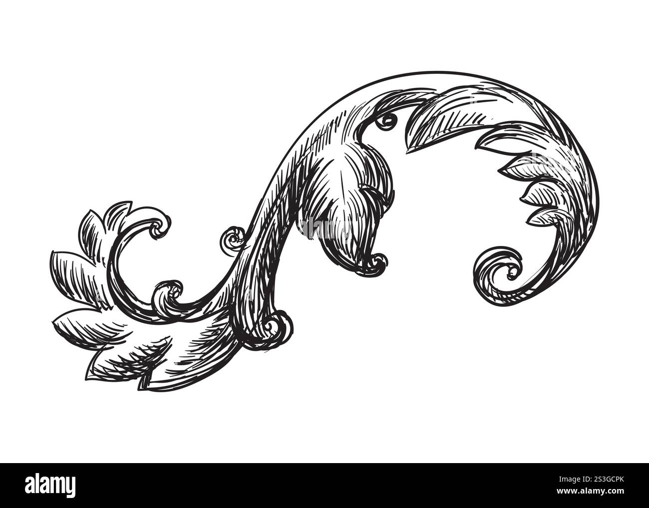 Engraving swirl design element vector illustration Stock Vector Image ...