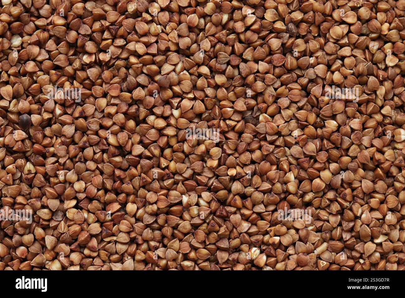 Buckwheat groats, top view. Raw large buckwheat grains, uncooked ...
