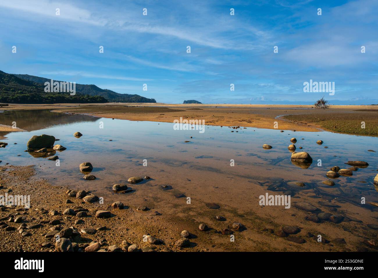 Able Tasman park coast line the biggest national park in New Zealand ...