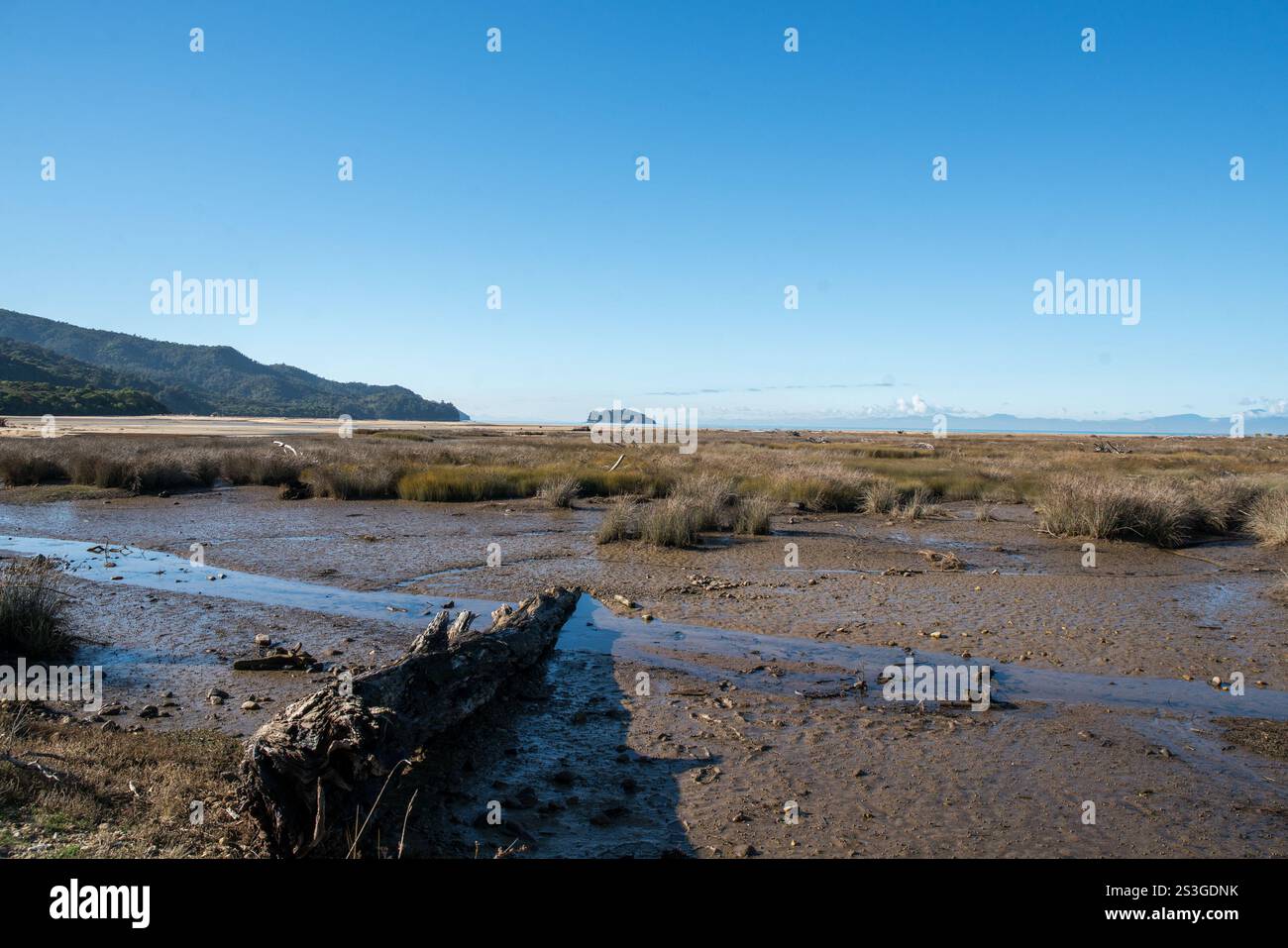 Able Tasman park coast line the biggest national park in New Zealand ...