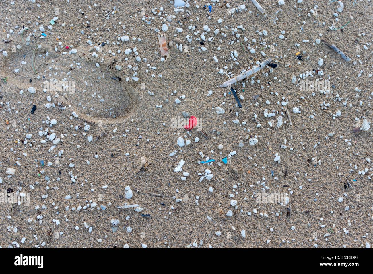 Sandy beach contaminated with micro-plastics. Close-up view of ...