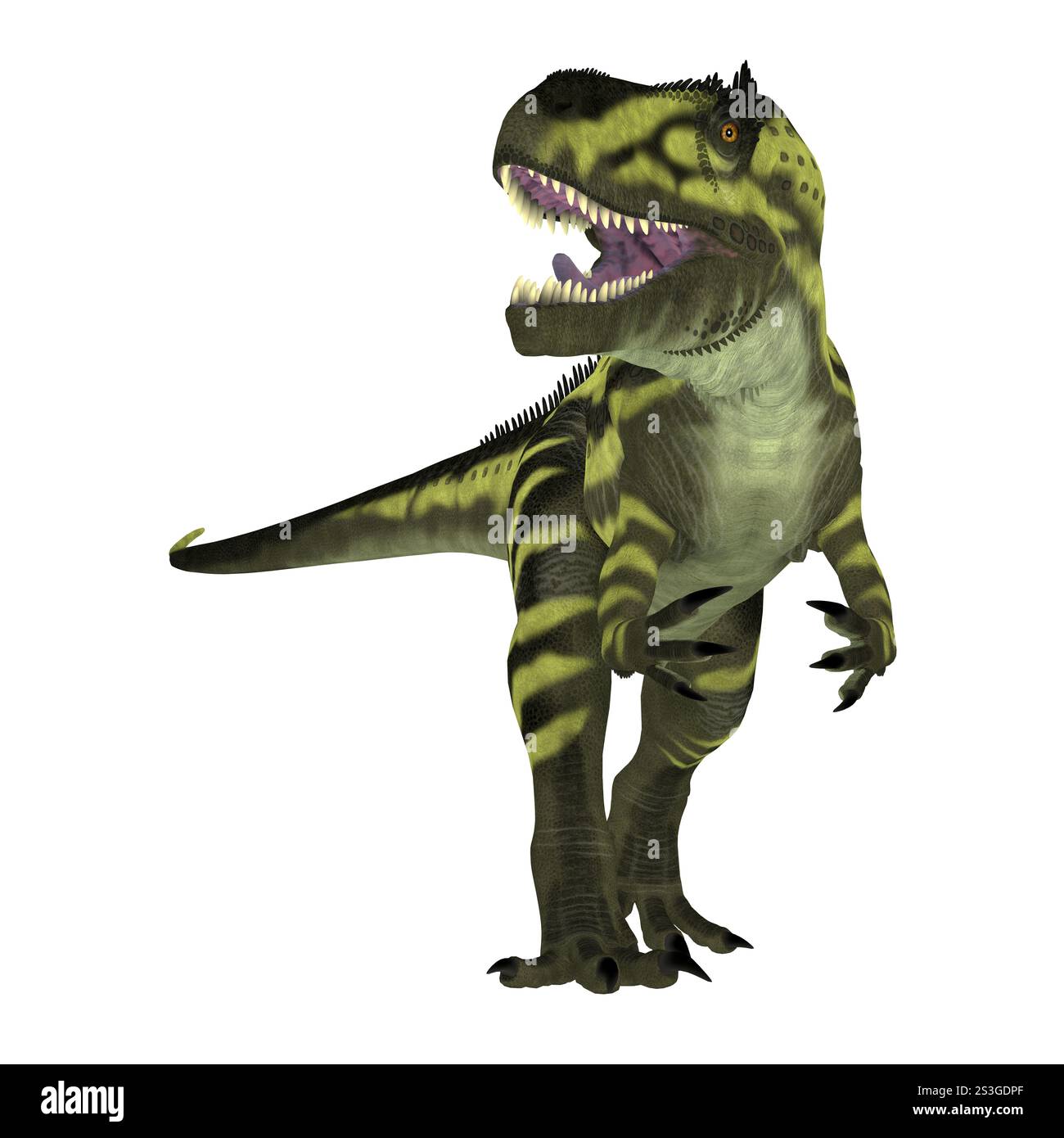 Torvosaurus is a large theropod dinosaur that lived during the Late Jurassic Period in North ...