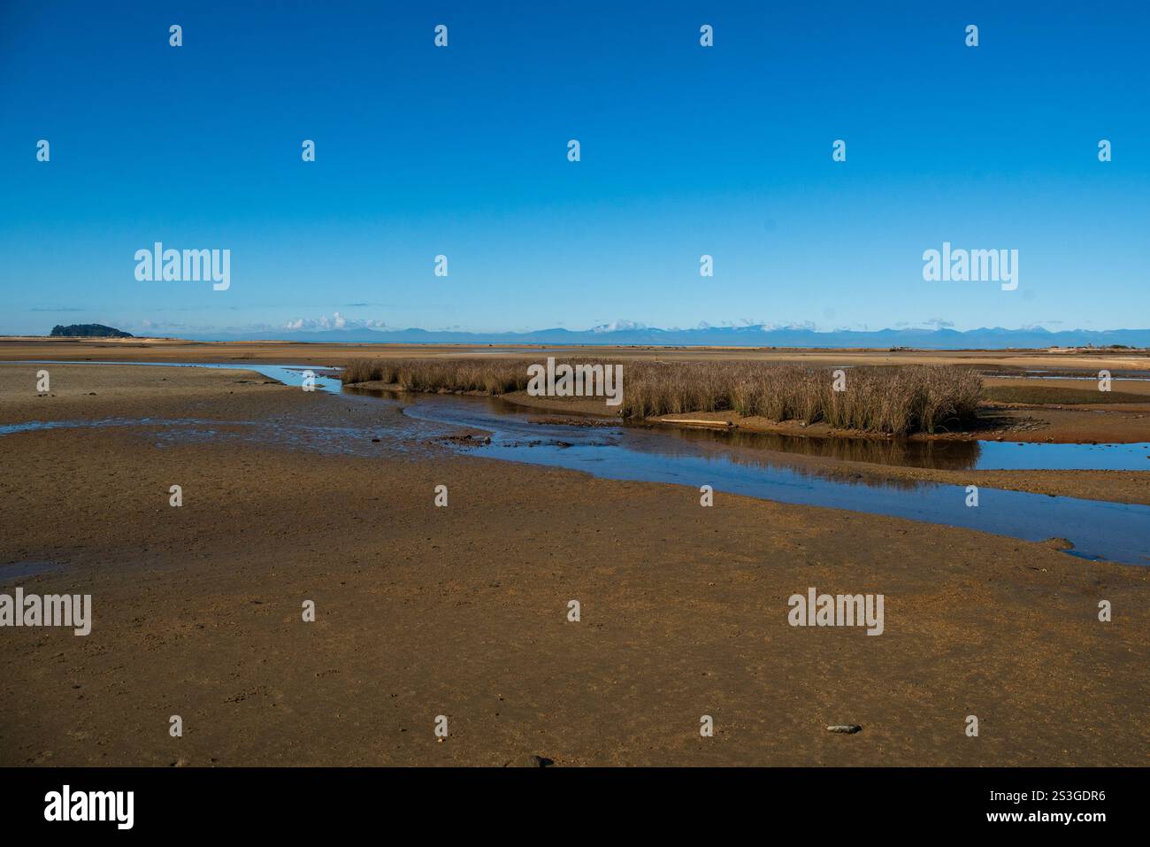 Able Tasman park coast line the biggest national park in New Zealand ...