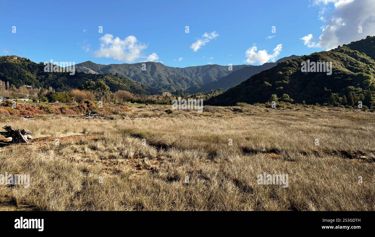 Able Tasman park coast line the biggest national park in New Zealand ...
