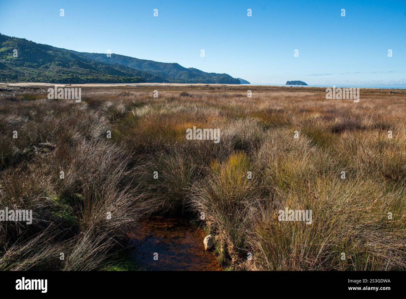 Able Tasman park coast line the biggest national park in New Zealand ...