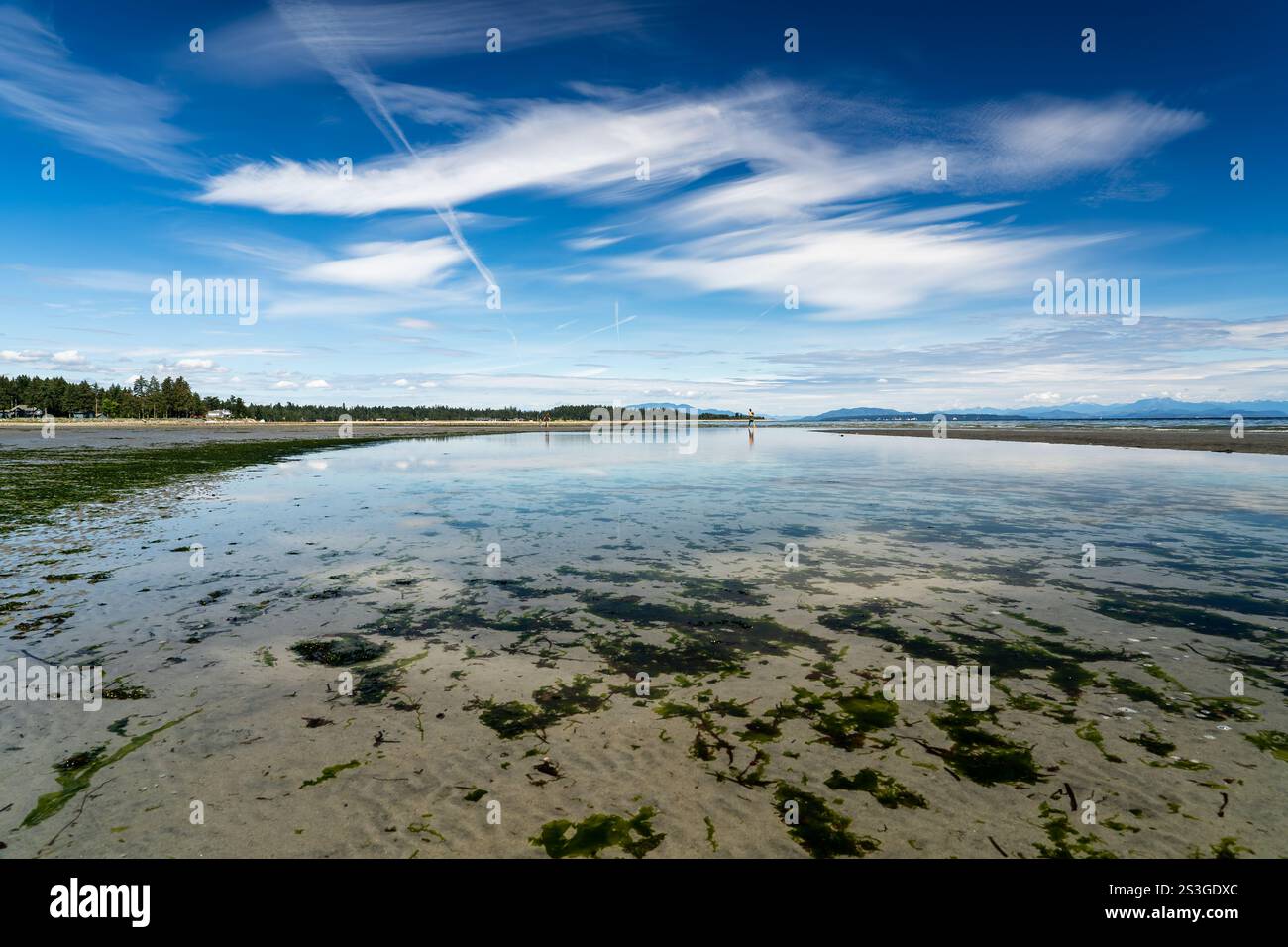 Miracle beach comox hi-res stock photography and images - Alamy